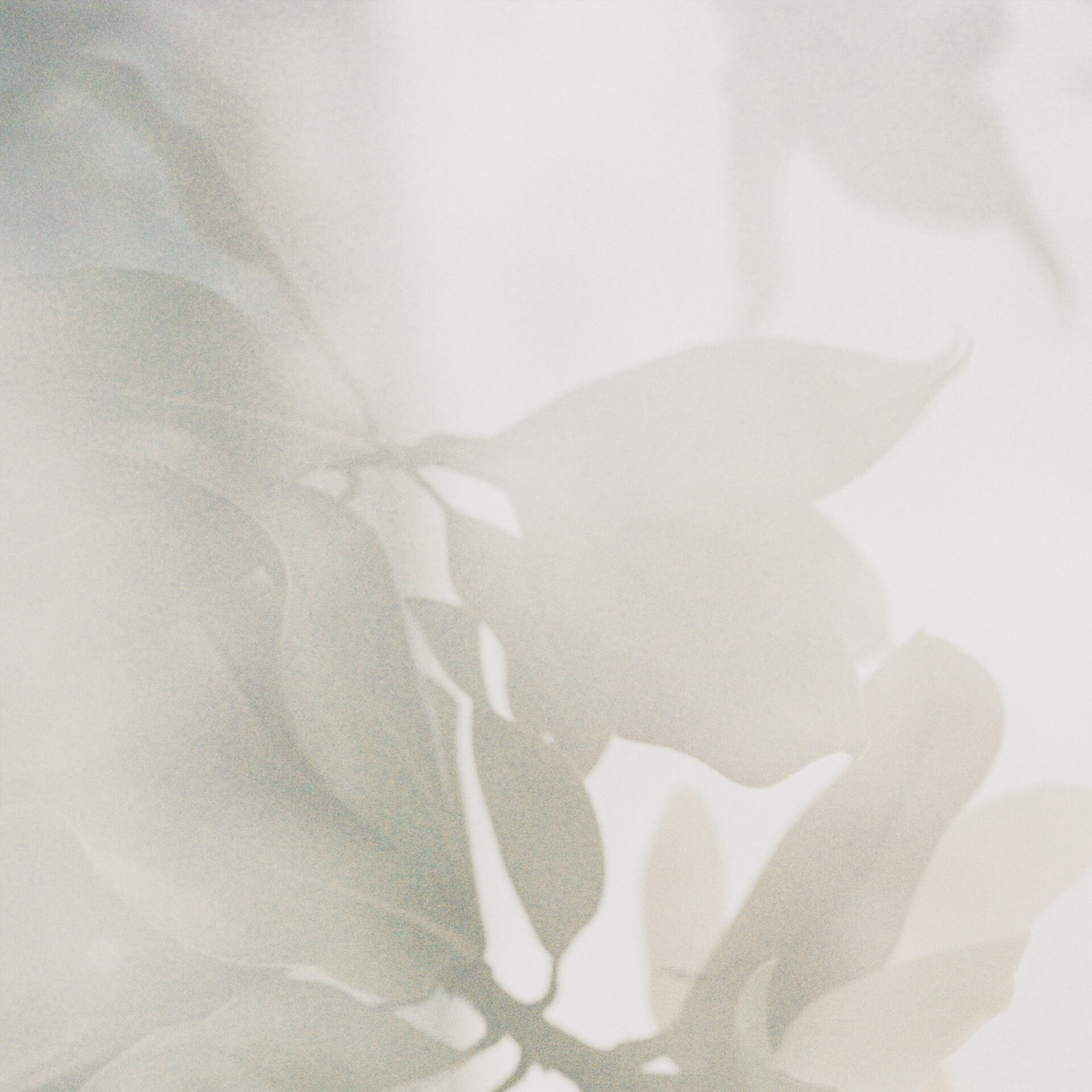 Diverse Role Models Series: Tracey Dovaston Discusses Mental Health ...