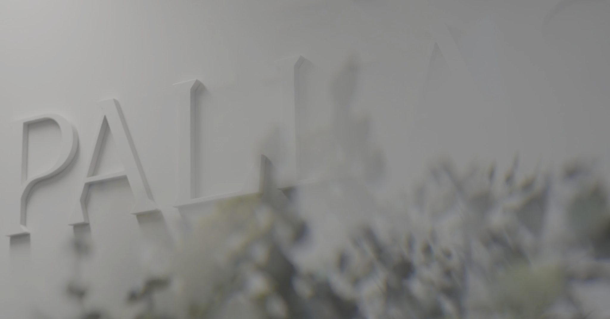 Pallas - The elite litigation & disputes firm defining a new blueprint ...